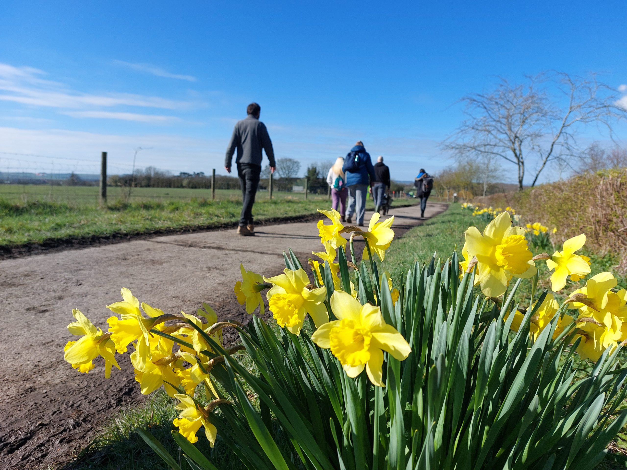Earth Trust: Growing Places | Mend the Gap