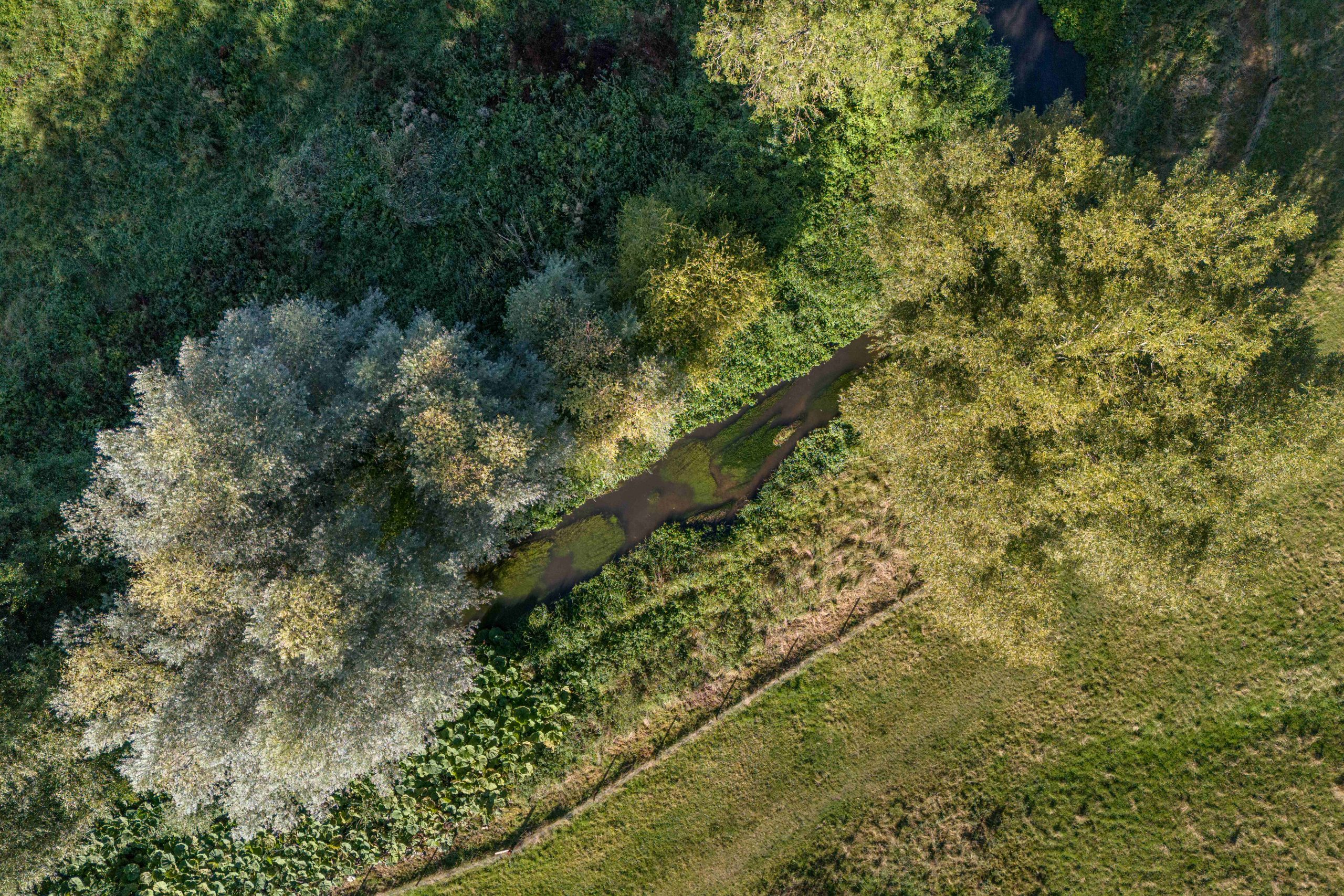 River Pang Realignment Project | Mend the Gap